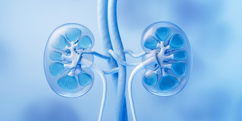 Sodonish EC – Nephurocare Pharma Private Limited